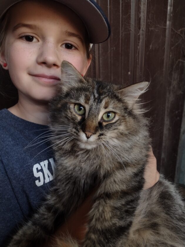 8-18 Media; For the love of cats | News, Sports, Jobs - The Mining Journal